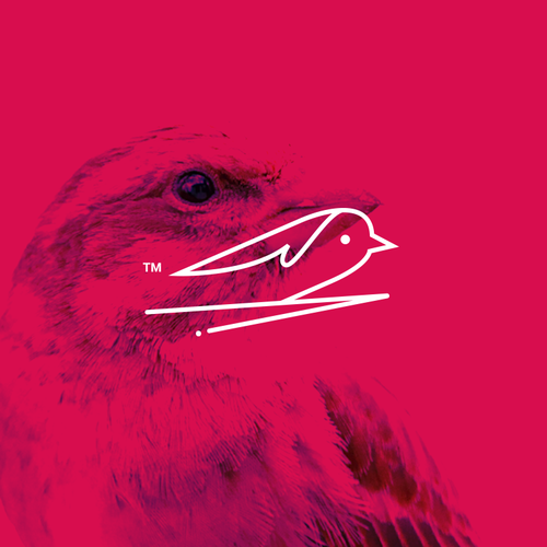 Designs | Sleek Bird Flock design for the next Wordle competitor ...