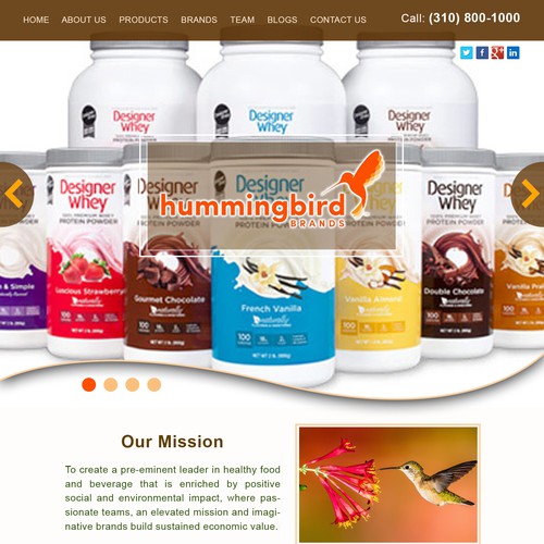 Hummingbird website | Web page design contest