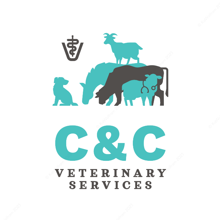 Veterinary Logos - Free Veterinary Logo Ideas, Design & Templates