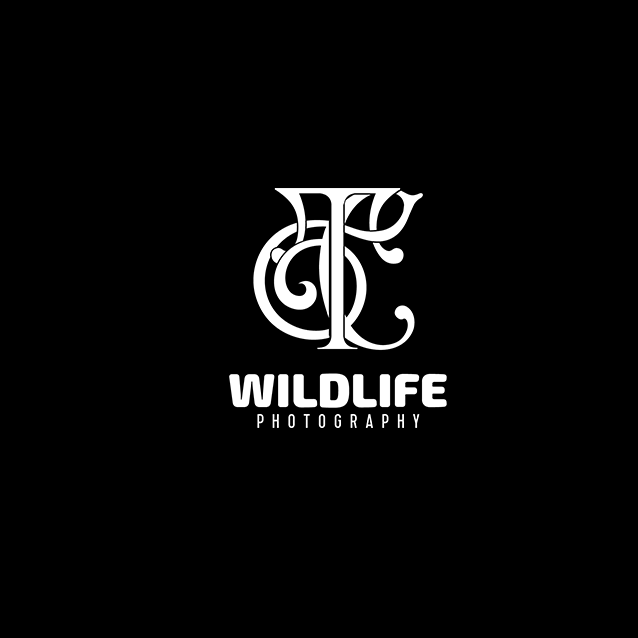 Wildlife Photography Logos - Free Wildlife Photography Logo Ideas ...