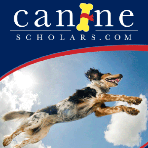 Designs | Dog Training Animated Banner ADs...fun, light hearted ...