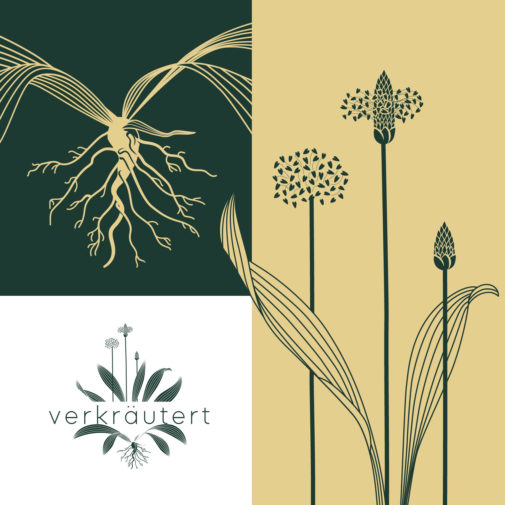 Botanical Logos - Free Botanical Logo Ideas, Design & Templates