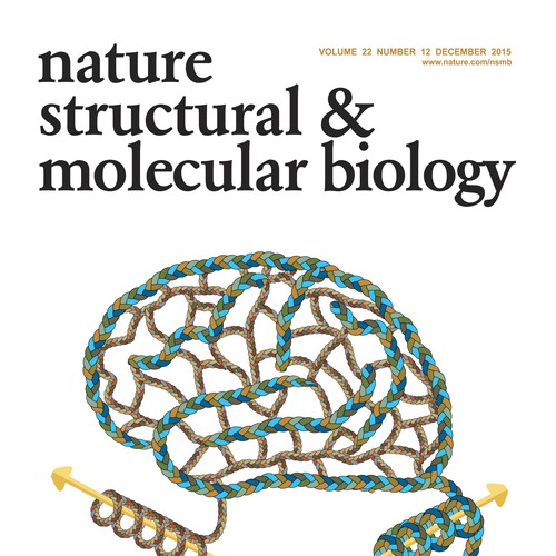 Brain cells for the Nature magazine cover page! | Magazine cover contest