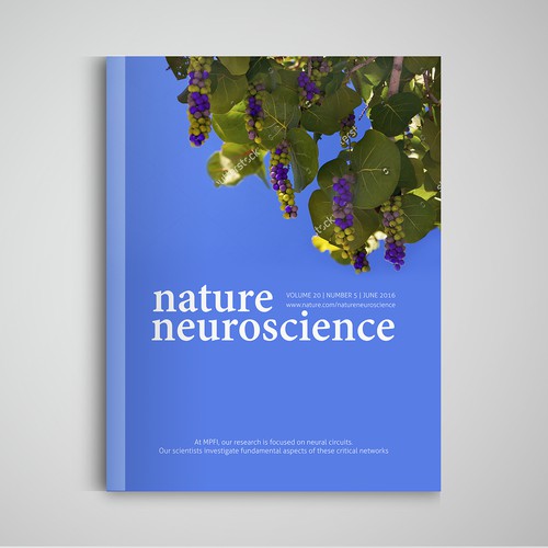 Illustration for the cover of prestigious neuroscience journal, Nature ...