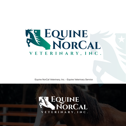 Designs | Looking for an eye catching and powerful equine veterinary ...