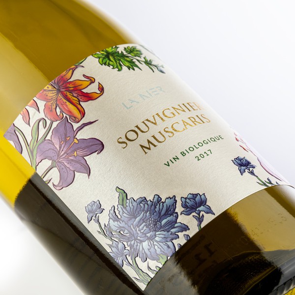 Develop front and back labels for ambient coffee roasters coffee bag ...