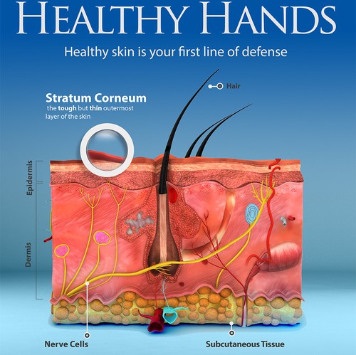 Hand Designs - 989+ Hand Design Ideas, Images & Inspiration In 2024 ...