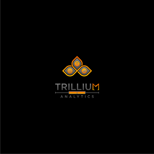 "Create a logo for Trillium Analytics, combining cues from both modern ...