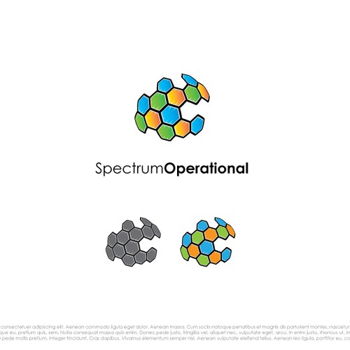 Re-design an Existing Logo for a Software Company's Second Iteration ...