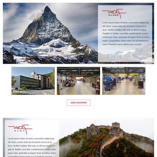 Designs | WWWW - Wolf in the world wide web | Web page design contest