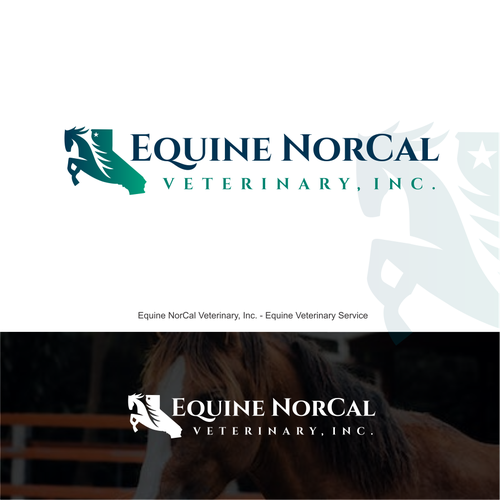 Designs | Looking for an eye catching and powerful equine veterinary ...