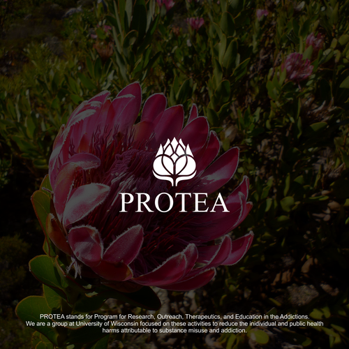 PROTEA logo--supporting programming to prevent and treat addiction ...