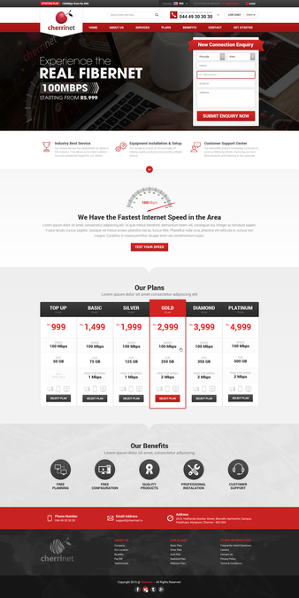 Website for Fibernet Internet Service Provider (ISP) | Web page design ...