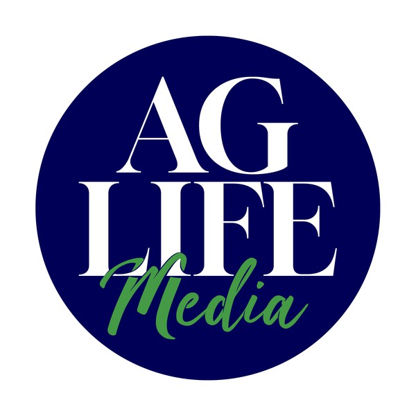 Elephant logo for a healthcare company | Logo design contest | 99designs