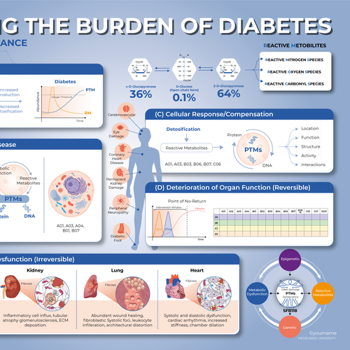 Designs | Solving the burden of diabetes - science at a glance ...