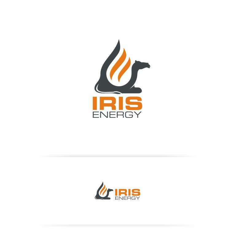 Iris Logos - Free Iris Logo Ideas, Design & Templates