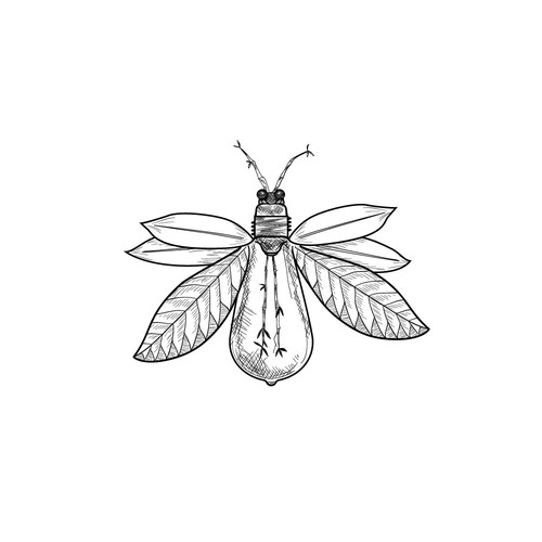 Designs | Create a unique Vintage Hand Drawn Logo of a Firefly with ...