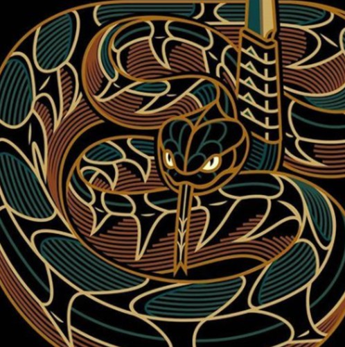 Snake Designs: the Best Snake Image Ideas and Inspiration | 99designs