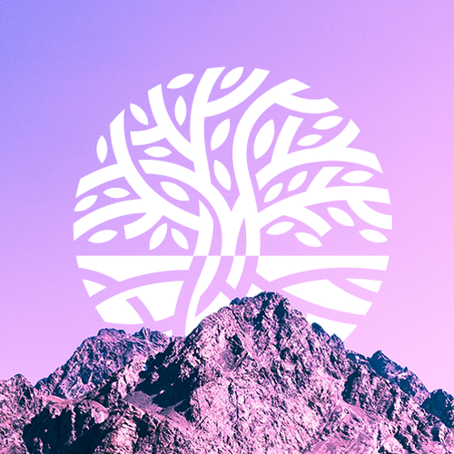 ORGANIC flowy design for VIBRANT ROOTS (Mushroom products, Jun ...