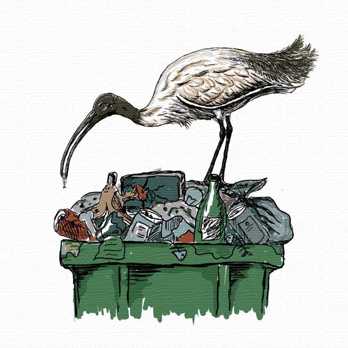 Australian Ibis Bin Chicken Tea Towel | Merchandise contest