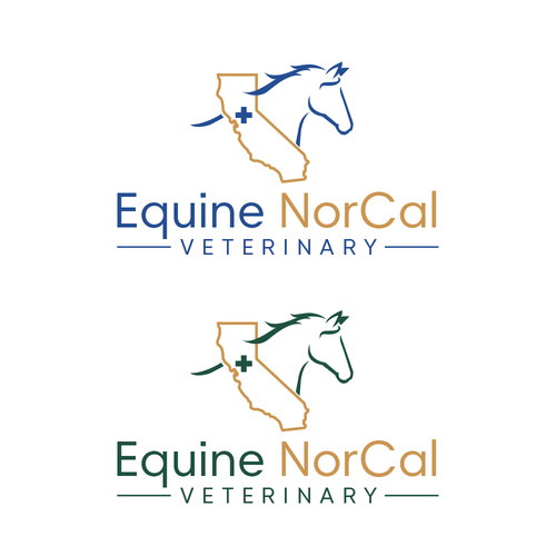 Designs | Looking for an eye catching and powerful equine veterinary ...