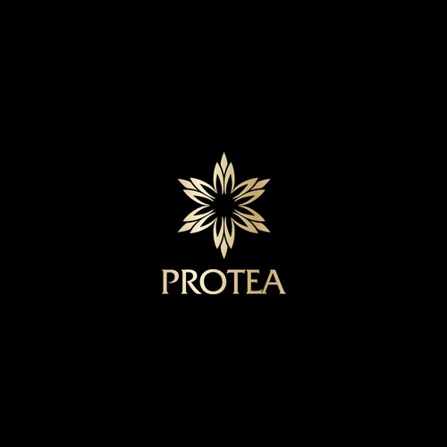 Designs | PROTEA logo--supporting programming to prevent and treat ...