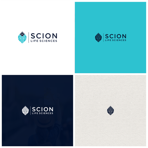 Designs | Putting the Finishing Touches on Our Life Sciences Company ...