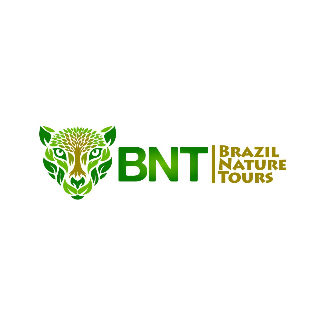 Brazil And Brazilian Logos - Free Brazil And Brazilian Logo Ideas ...