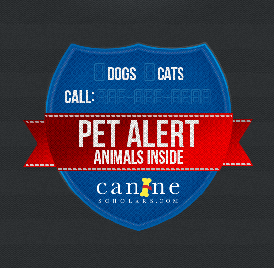 Pet Alert Sticker Design, FRESH NEW EYE CATCHING | Signage contest