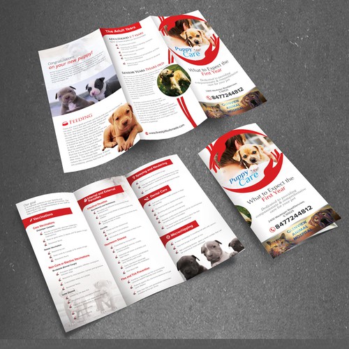 Puppy Brochure For High End Clients Around The World | Brochure contest