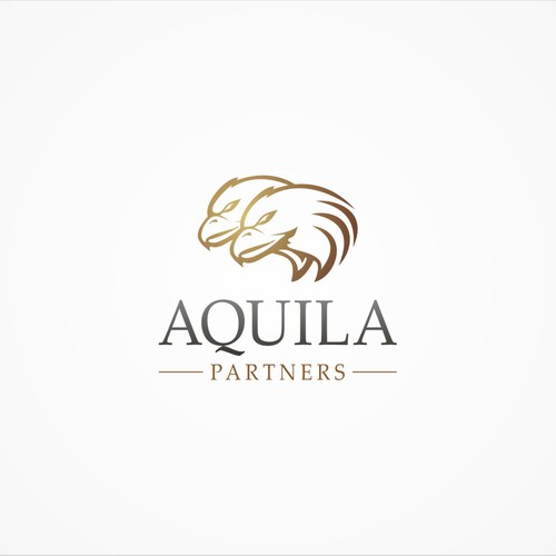 Logo for Aquila Partners, A Private Equity Fund | Concours: Création de ...