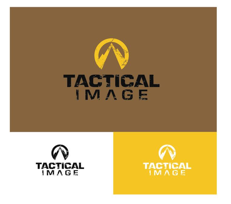 Military & Law Enforcement Logo for "TACTICAL IMAGE" | Logo design contest