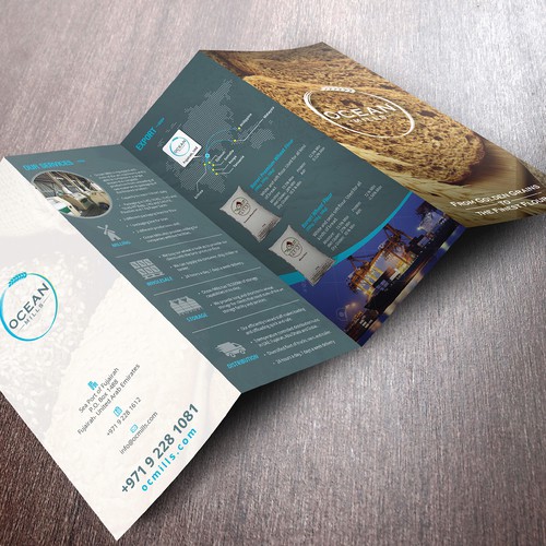 Flour Brochure | Brochure contest