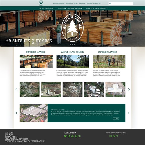 Create a simple yet strong website for a company with long history ...