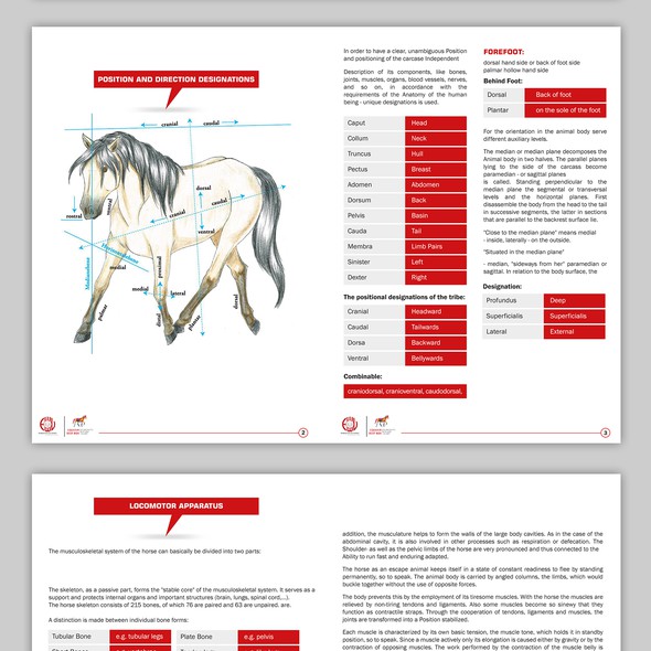 Manual Designs - 76+ Manual Design Ideas, Images & Inspiration In 2022 ...