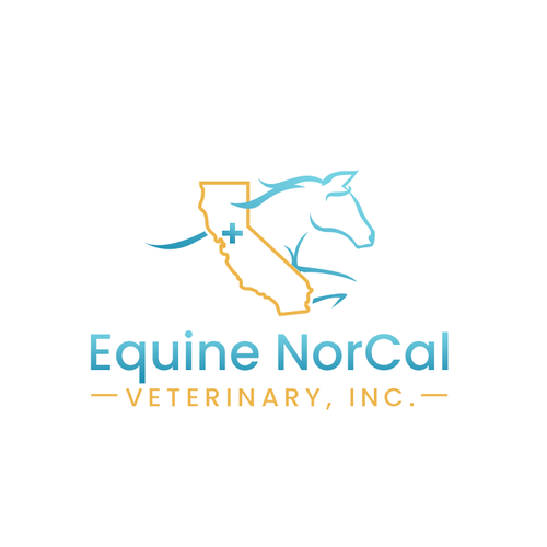 Designs | Looking for an eye catching and powerful equine veterinary ...