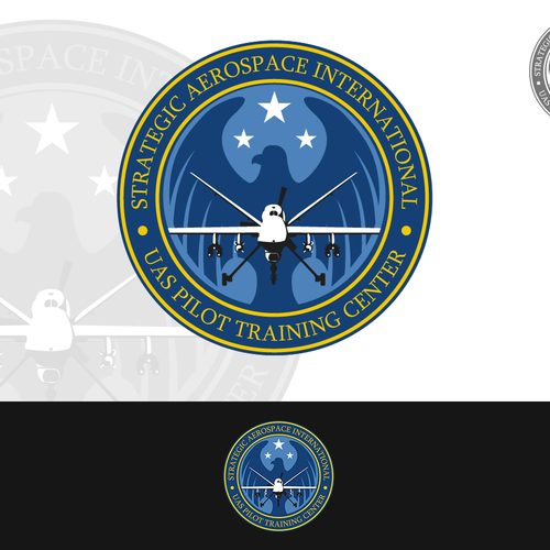 Drone Pilot Training Center, US Military and Law Enforcement | Logo ...