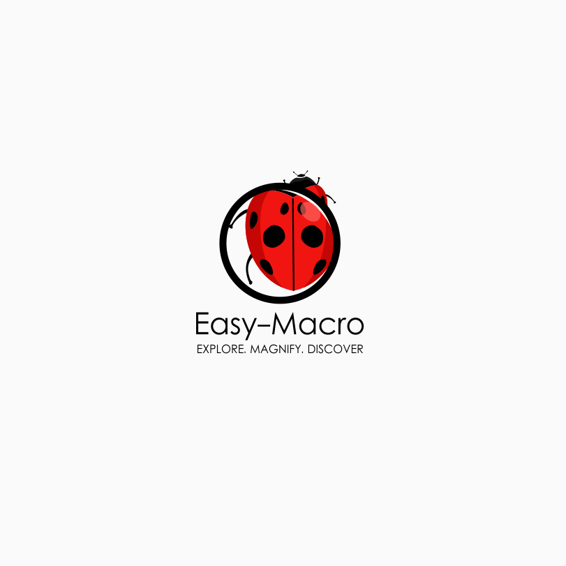 Ladybug Logos - Free Ladybug Logo Ideas, Design & Templates