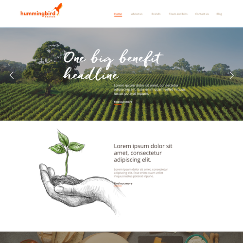 Hummingbird website | Web page design contest