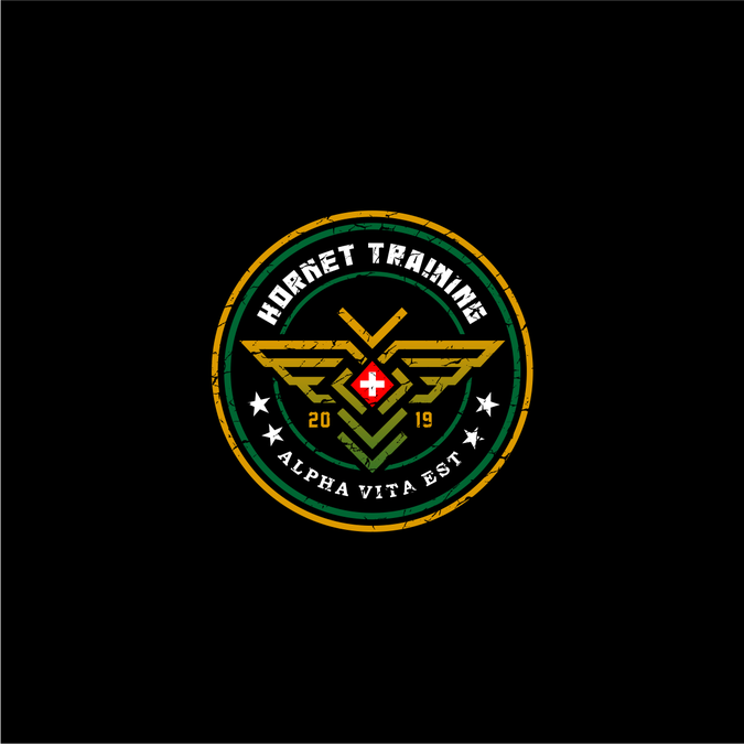 Fighter pilot badge | Logo design contest