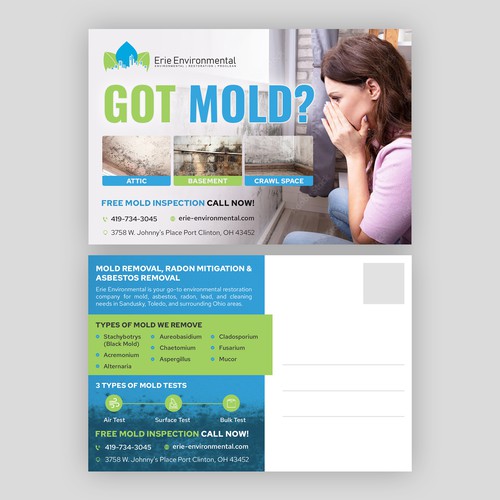 Designs | Get the word out about mold and that our company will take ...