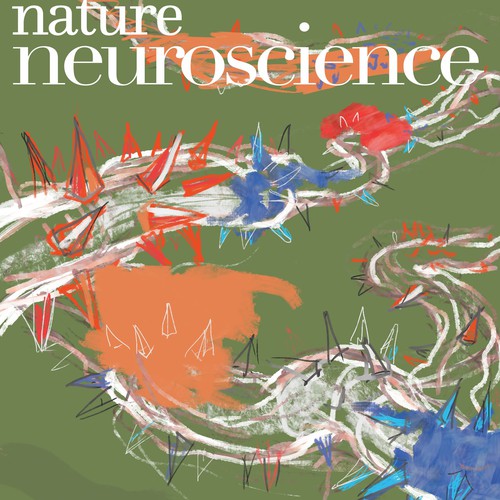 Illustration for the cover of prestigious neuroscience journal, Nature ...
