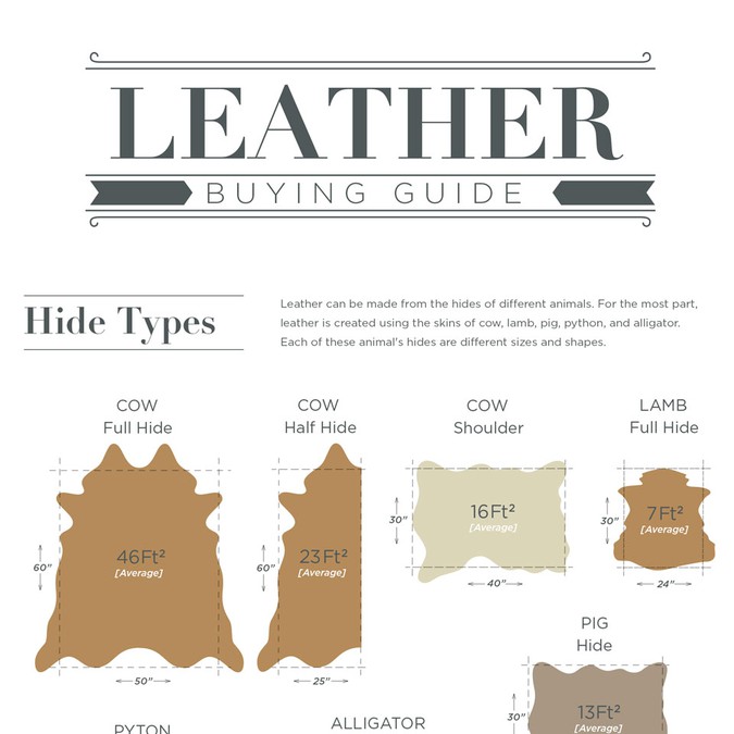 Create and Infographic for a unique retail leather skins business ...