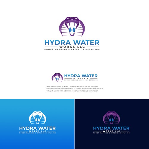 Designs | Hydra Water Works LLC Power Washing Logo Design | Logo design ...