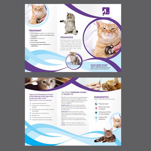 Help cats! by creating a brochure for a common CAT disease | Brochure ...