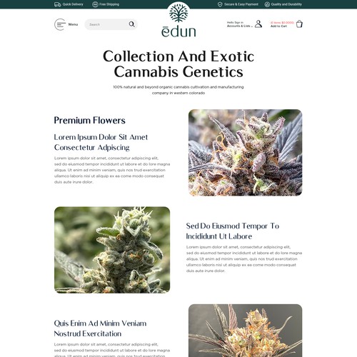Designs | We need a powerful web design for our Sustainable Cannabis ...