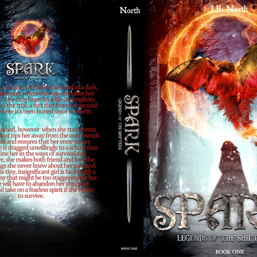 Designs | Create a book cover for an ice and fire themed YA fantasy ...