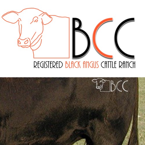 Create a Freeze-Brand logo for Black Angus Cattle Ranch | Logo & brand ...