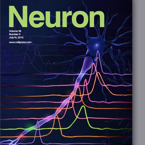 Captivating illustration needed for prestigious neuroscience journal ...