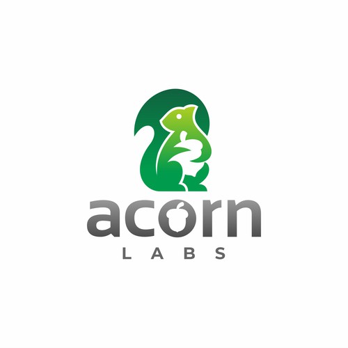 Designs | Build a great new logo and identity for a software project ...